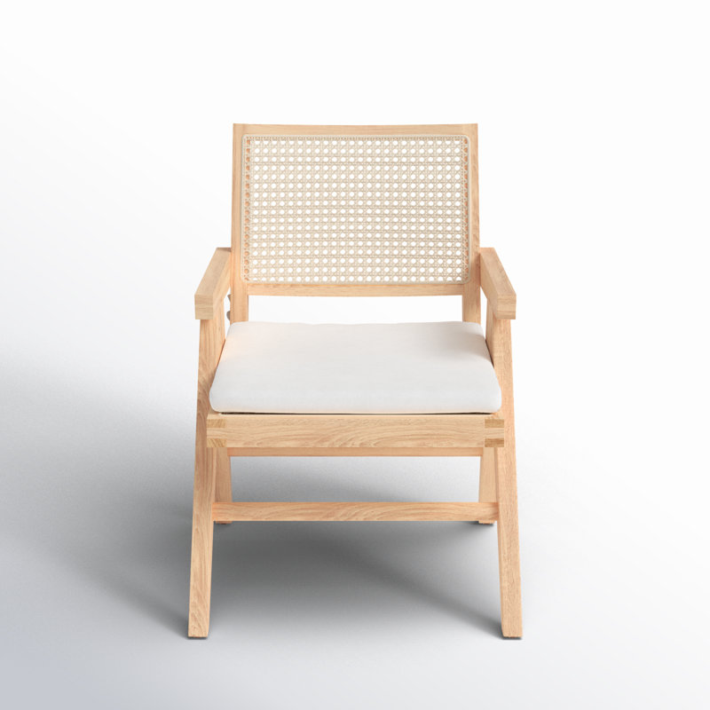 Birch lane accent chairs store